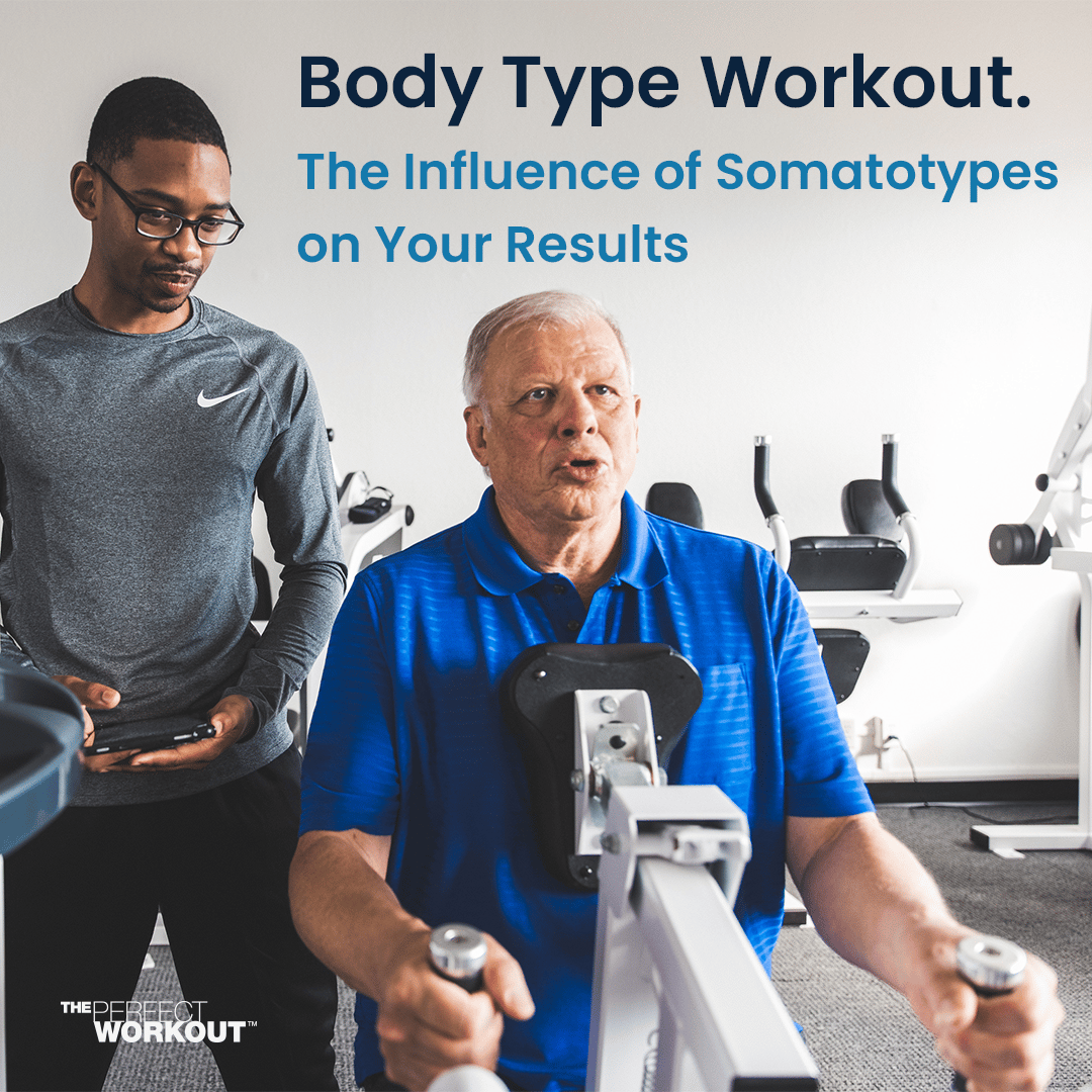 Body Type Workout: How Somatotypes Affect Your Results - The Perfect ...