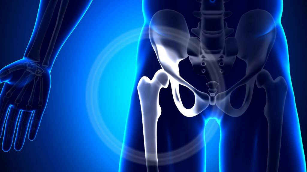 Hip Strength And Mobility - The Perfect Workout®